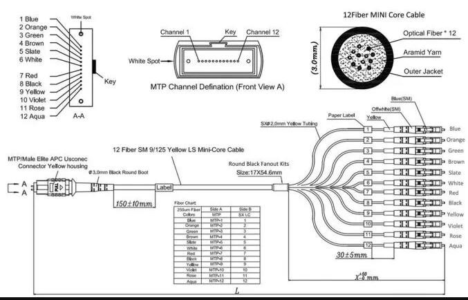 MPO MTP 40G QSFP+ TO 4X10G SFP+ Fiber Optic Harness